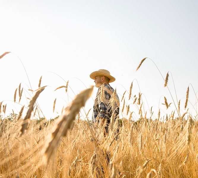 BADR BANQUE – Banque de l’Agriculture et du Développement Rural